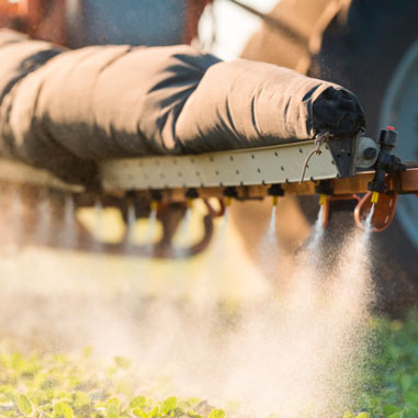 Saago · Sembrando contigo