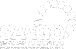 Saago · Sembrando contigo