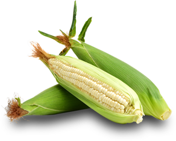 Saago · Sembrando contigo